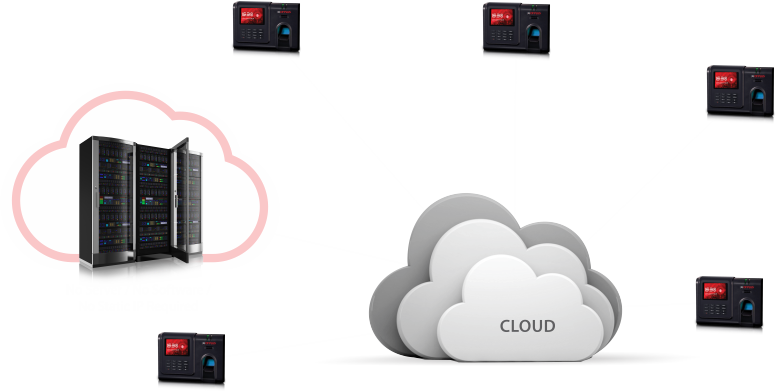 AMS | Attendance Management System